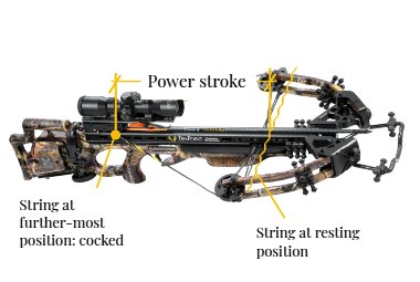 How Does a Crossbow Work? A Guide for Beginners - Archery Information